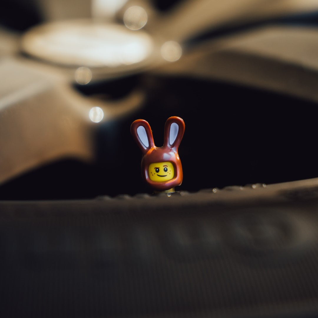 Limited Edition – BrickCaps